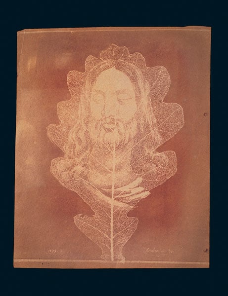 Photographs from the Royal Photographic Society Collection - Art Fund